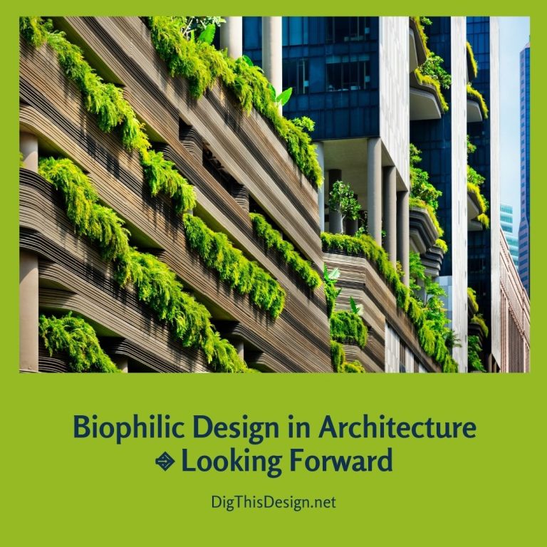 How to Incorporate Biophilic Design Elements Through Windows – xin home ...
